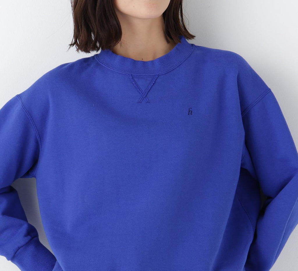 Logo Embroidered Color Sweatshirt